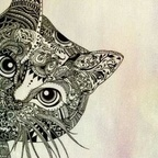 Free access to (moroz) Leaked OnlyFans - Hot69Fan